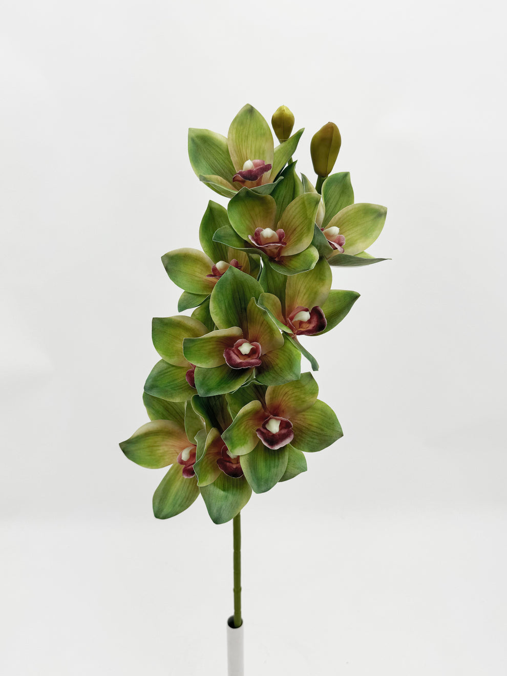Green Cymbidium Orchid | Real Touch Faux Flowers – FLEURSDAMOUR